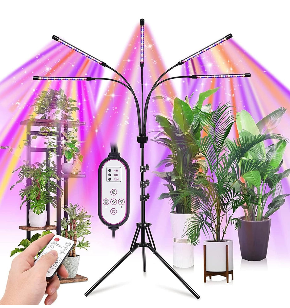 Products – Page 7 – RealDeal Store